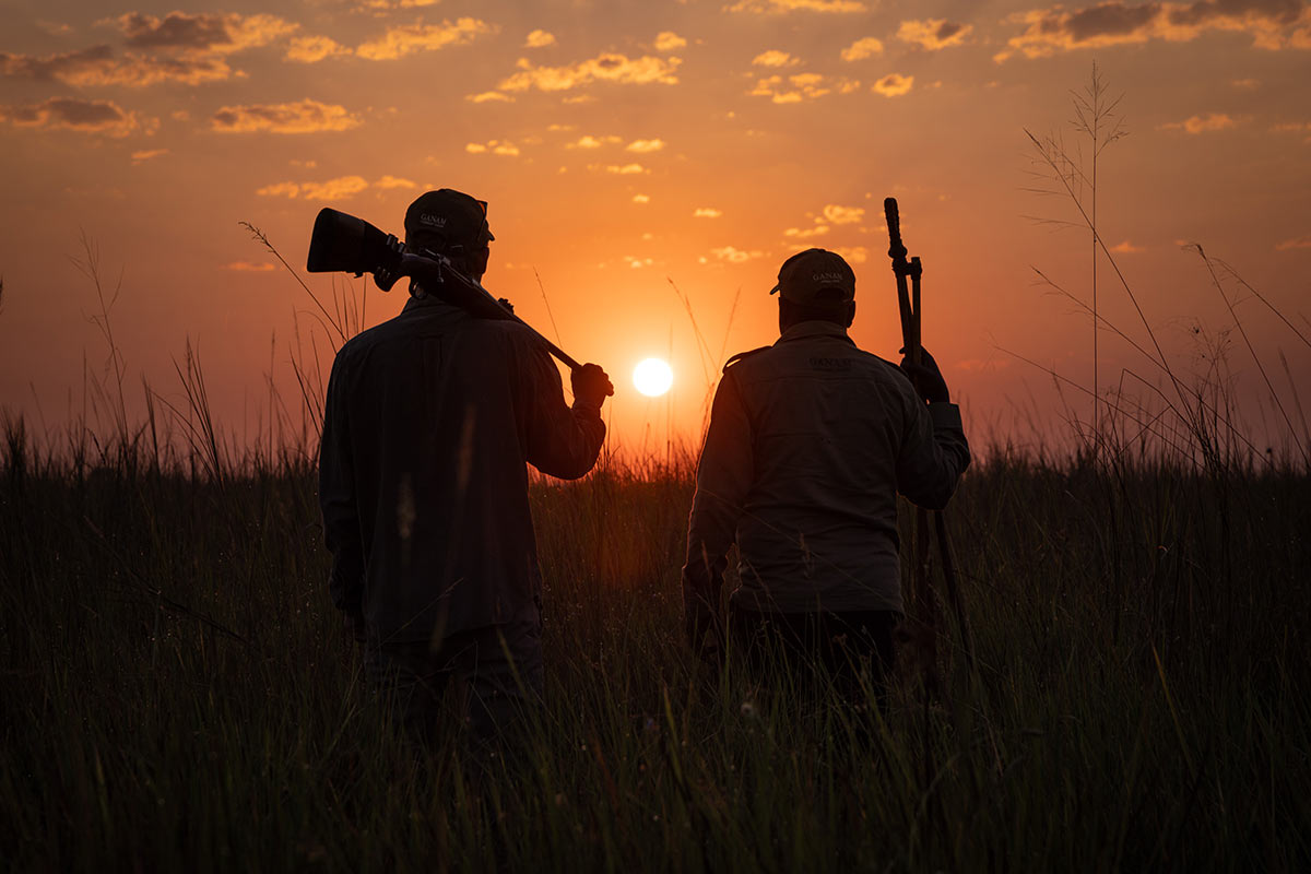 Our Conservation Efforts: Protecting Wildlife and Habitats