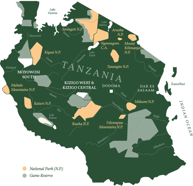 Welcome to Ganam: Your Gateway to Extraordinary Safari Adventures in ...